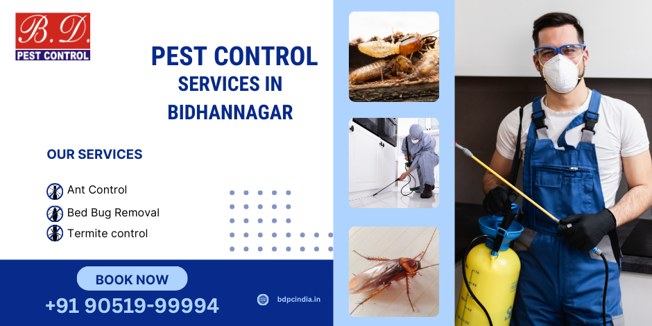 Pest Control Services in Bidhannagar