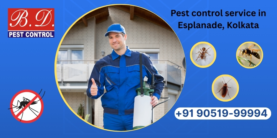 Esplanade - B.D. Pest Control