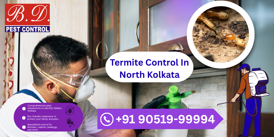 Termite Control in North Kolkata: Protecting Your Venue